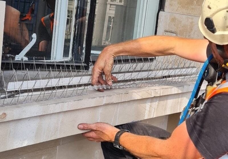 Bird Mesh & Vent Covers London| Rope Access - Peak Access